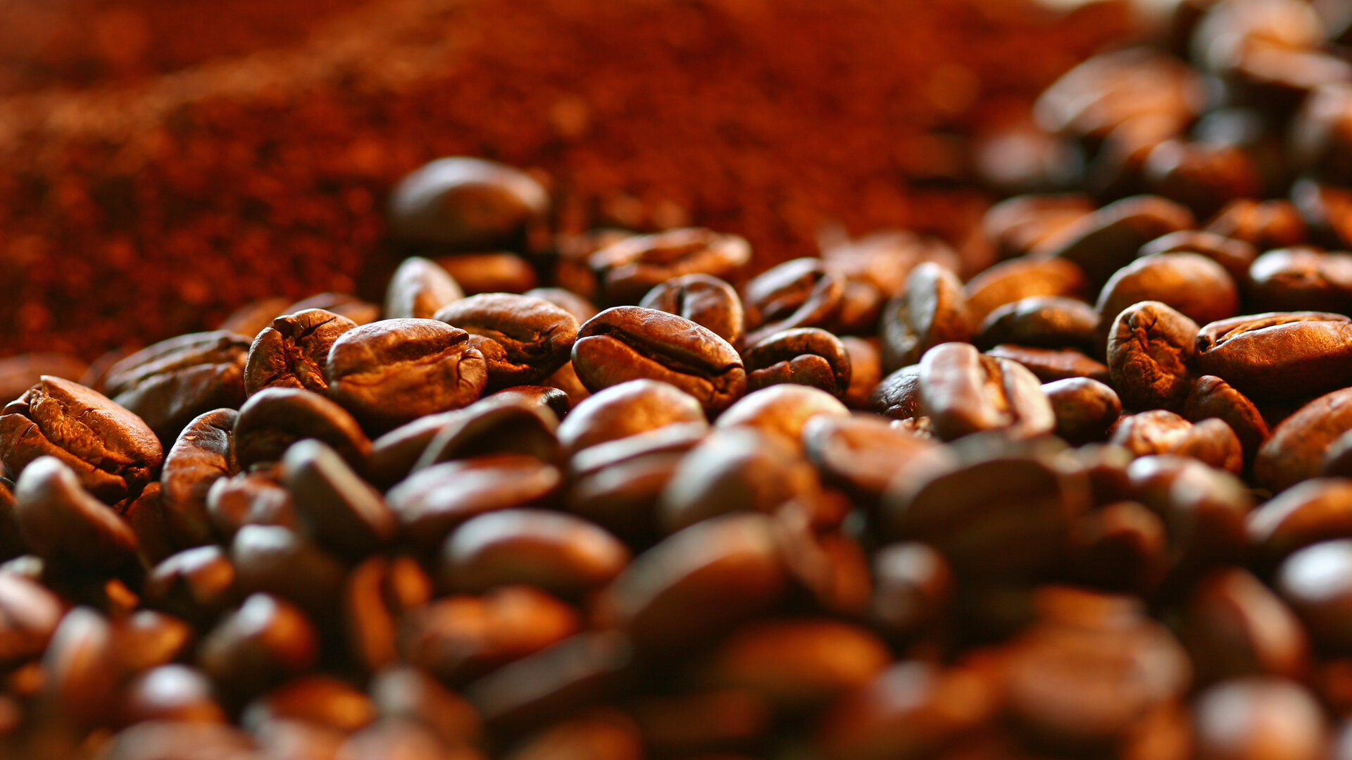 Read our success stories in the field of Process Technology